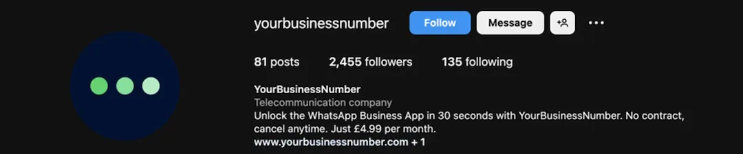 Instagram Bio Ideas & How To Write One For Your Business